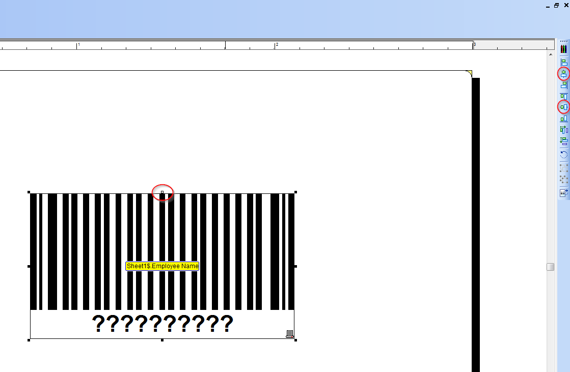 通过 ZebraDesigner Pro v2 在条码中使用数据库数据